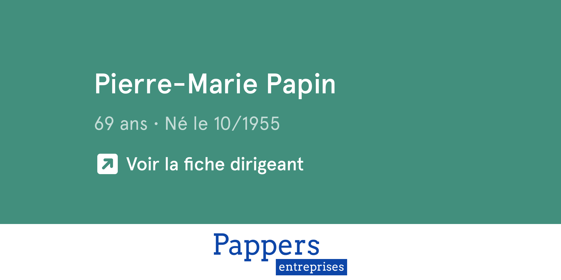 Pierre-marie Papin : PMCONSULTING